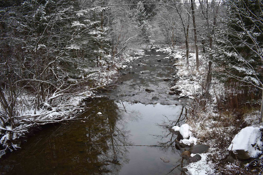 00 Loop Rd, Troy VT 05859 Home for Sale