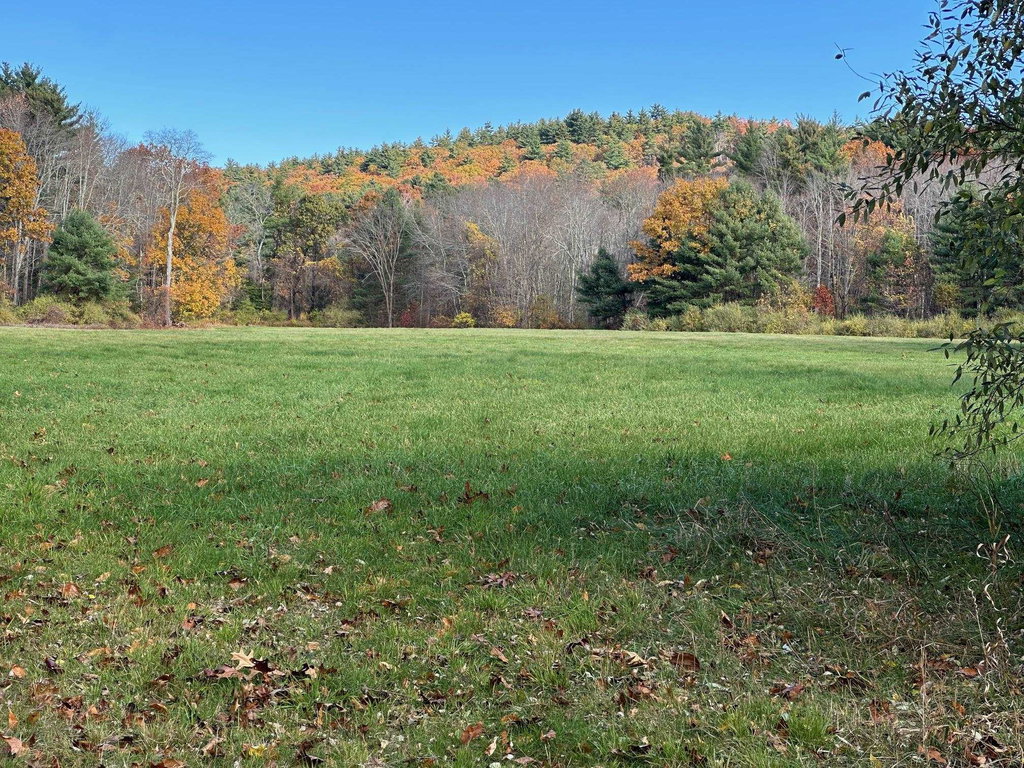 Amherst Homes for Sale