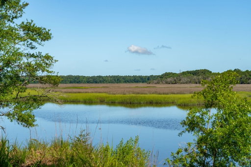 299 Tilly Pt Way #3, Green Pond SC 29446 Home for Sale
