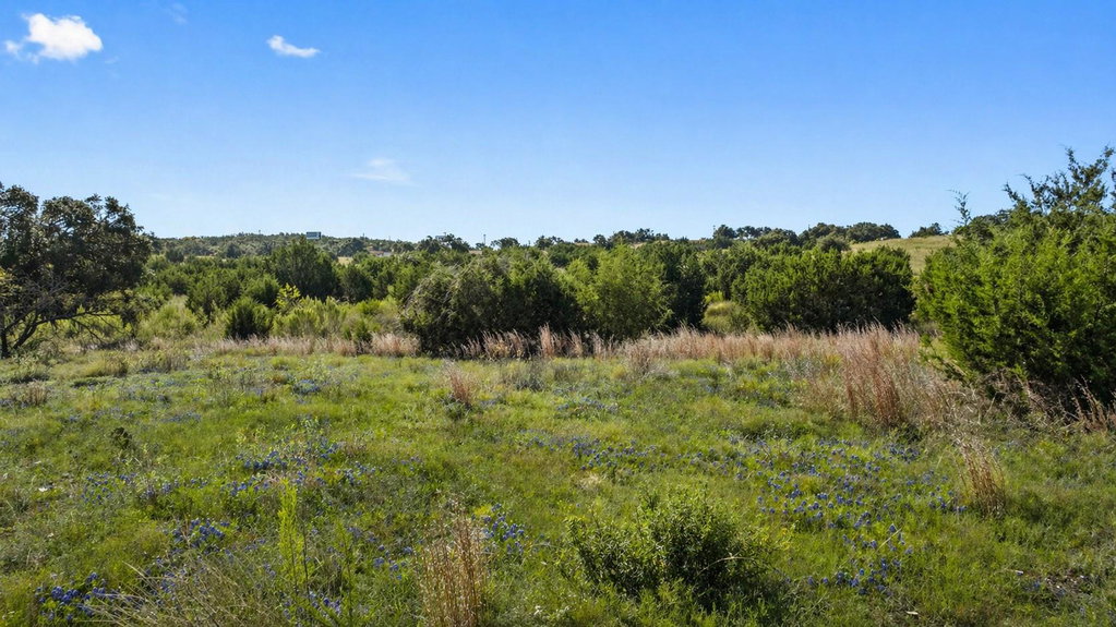 Appaloosa Run Homes for Sale | Central Metro Realty